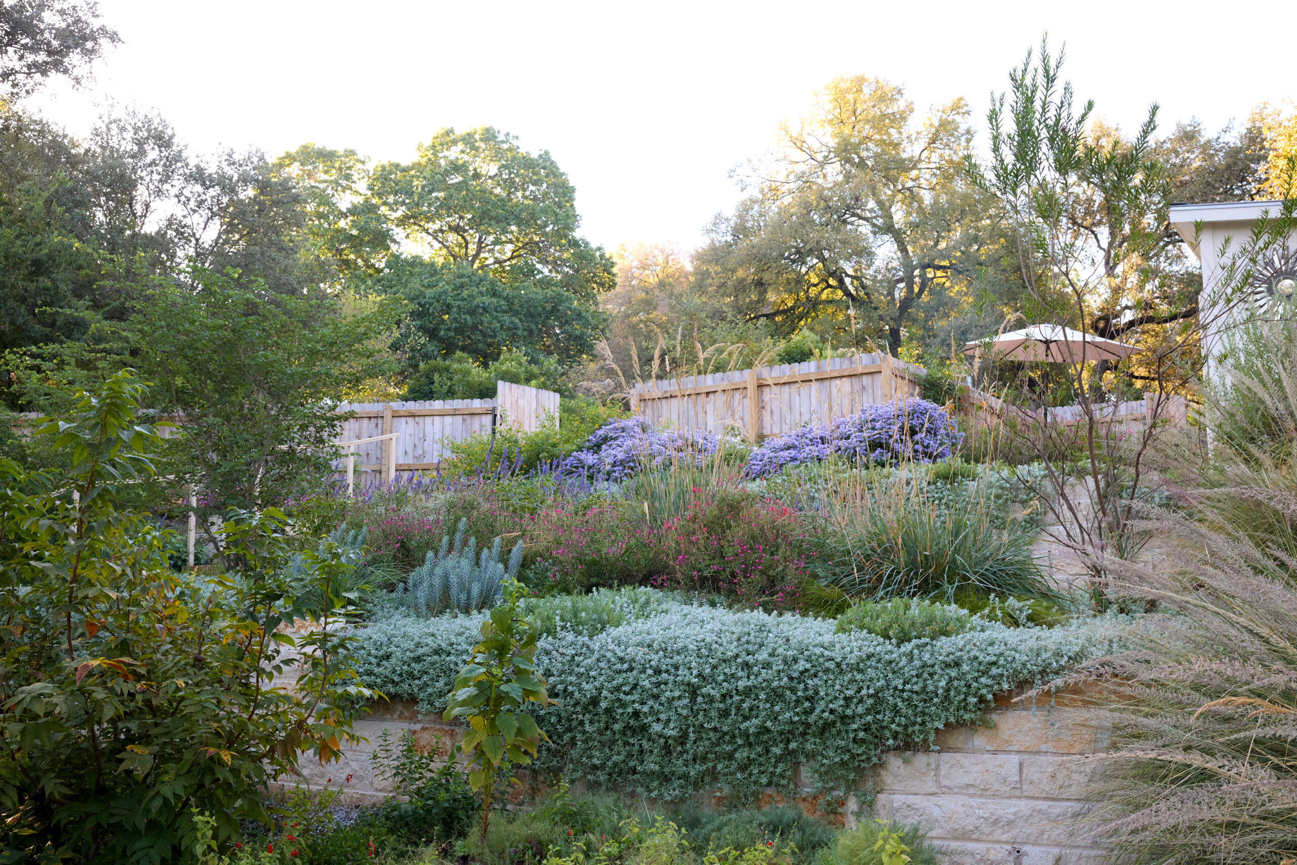 Experience Some of Austin’s Best Private Gardens at Travis County Open ...